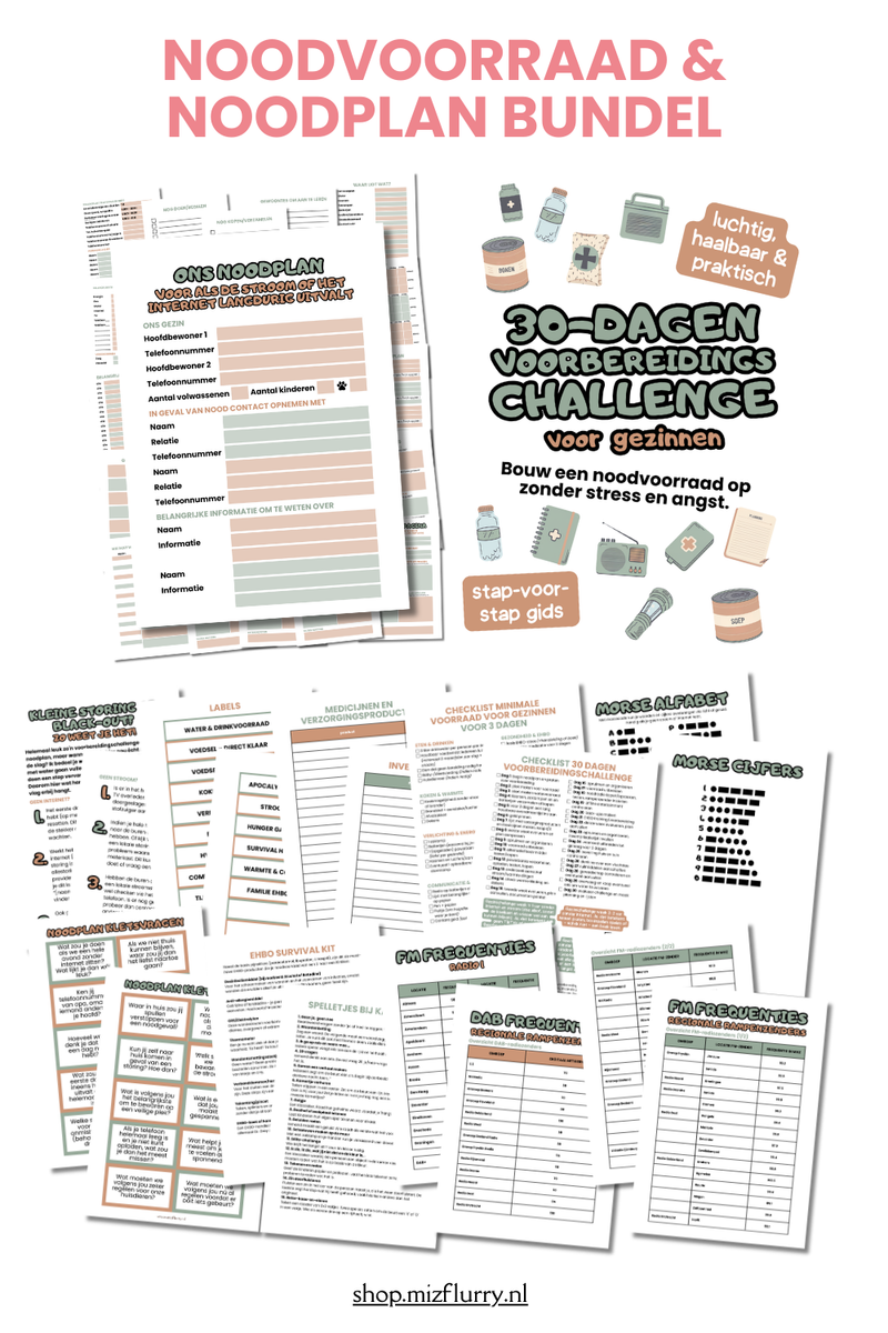 Complete noodvoorraad & noodplan bundel (alle printables) – MizFlurry